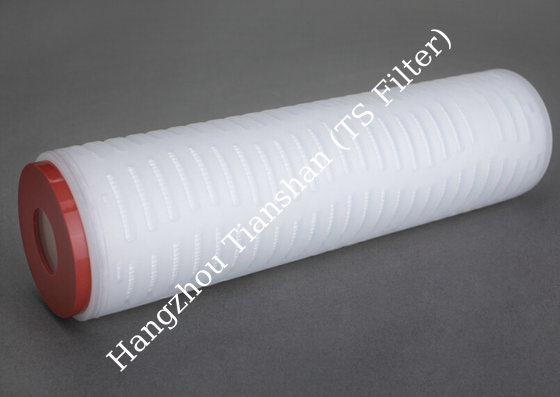 PES membrane Sterilizing Grade Filters , 10 inch water filter cartridges , Bacterial Challange Test passed
