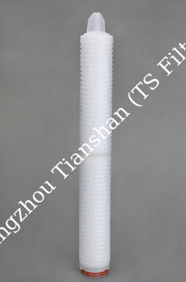 20 inch / 0.04 micron PES Sterilizing Grade Filters for critical processing filtration , suitable for pharmaceutical