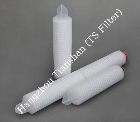 30 inch / 0.1 micron Hydrophilic PTFE membrane Sterilizing Grade Filters for water filtration