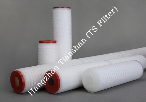 10" 20" Sterilizing Grade Filters , High Flow PTFE Pleated Filter Cartridge