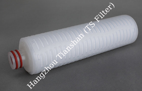 10 inch / 0.2 micron Hydrophilic PTFE membrane Sterilizing Grade Filters for critical water filtration