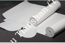 Hydrophilic Nylon Filter Membranes 0.1um - 5um for Water Filtration