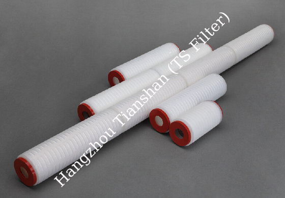 10 inch / 0.22micron Hydrophilic PTFE membrane Sterilizing Grade Filters for critical water filtration