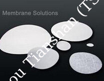 PVDF Blotting Membrane Disc Filter for Western Blotting and Protein Sequencing