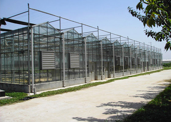 Mobile Eco Friendly Prefabricated Homes Flower Greenhouse Supply Hclear