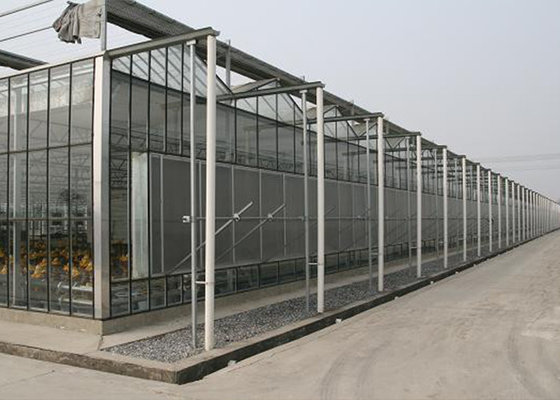 Las casas prefabricadas del verde de Stainlable de la agricultura despejan con áreas de iluminación grandes del día