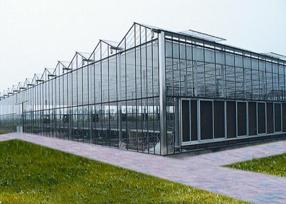 Strawberry WatermelonGreen Prefab Houses Agricultural Greenhouse Supply