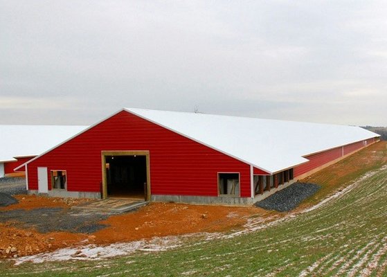 Pre Built Commercial Steel Structure Poultry House Chicken Rearing Structures
