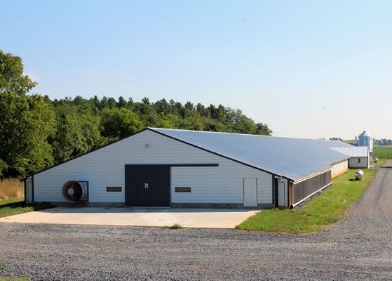 Modern Gabled Steel Structure Poultry House / Chicken Broiler House Easy Assembled
