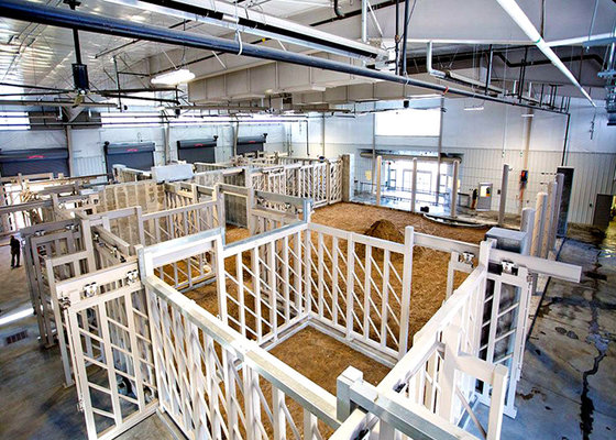 Clear Span Rigid Frame Prefab Steel Structure Building For Animal Barn