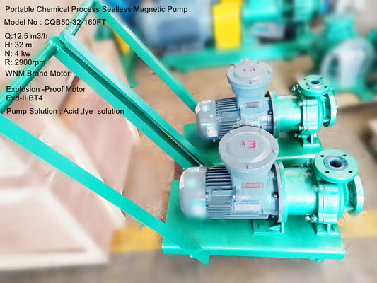 Partable  chemical process sealless Magnetic pump.