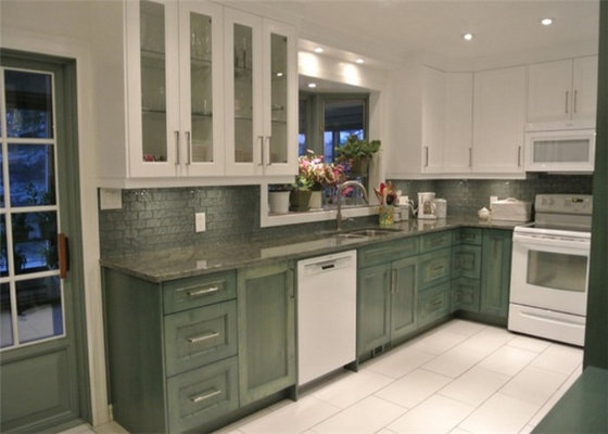 Paint Finish Solid Wood Kitchen Cabinets Blum / Dtc Hardware With Granite Countertop
