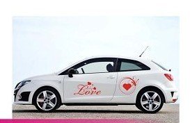 As etiquetas autoadesivas impressas carro do PVC/costume imprimiram etiquetas para a tampa dos carros