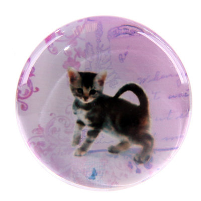 A abóbada poderosa das etiquetas 3D da resina de cola Epoxy do gato contra ratos destrói