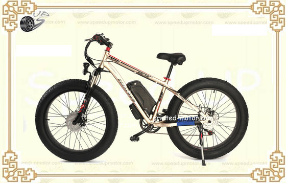 3-speed Beach Electric Bicycles E Bike with 36V18Ah Double Lithium Battery and 350w 8FUN  Motor
