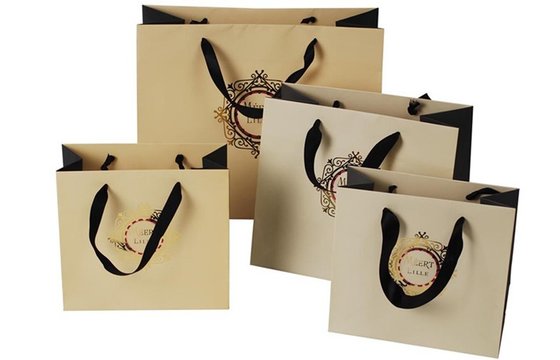 Custom Logo Printing Shopping Paper Bags With Rope Handles