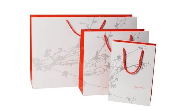 Custom Logo Printing Shopping Paper Bags With Rope Handles