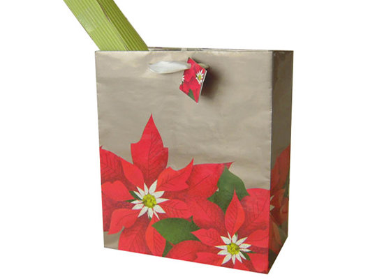 fashionable gift Colored Paper Bags With Handles , Matte lamination