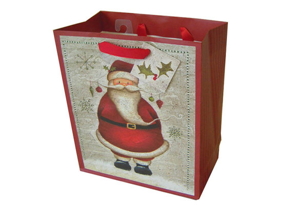 fashionable gift Colored Paper Bags With Handles , Matte lamination
