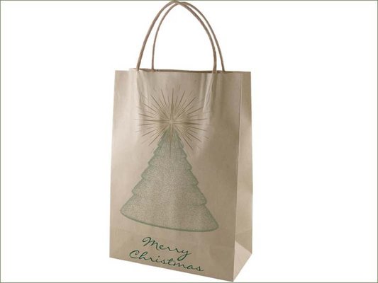 Customized Corrugated Craft Paper Gift Bags , Promotional Paper Bags For Jewelry