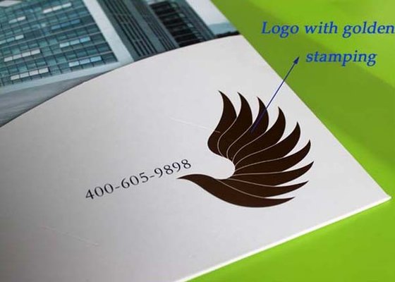 Hot Stamped Two Pocket Standard A4 Company Paper Presentation Folder