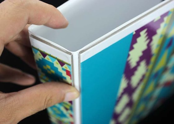 Office Supplier Customized 4 Hole Ring Binder Type Paper Folder