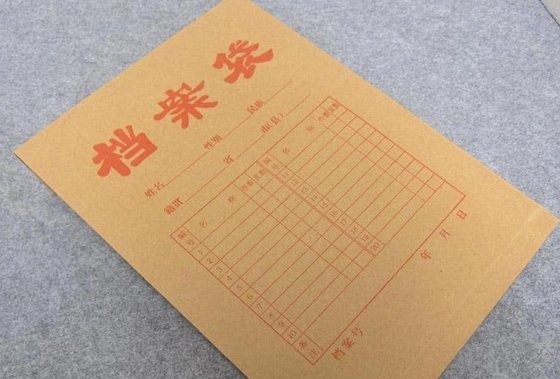 Custom Brown Kraft Paper Bags Paper Envelope Folder For Document