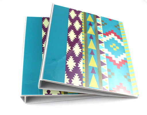 Pantone Printing 2 Ring Binder A4 Paper Folder / Paper Expanding File Folder