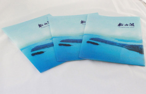 Blue L shape A4 / F4 file plastic folder For documents collecting