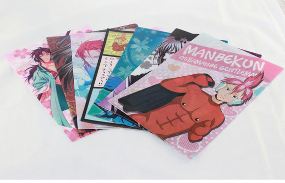 Waterproof L shape a4 Plastic Document Folder with logo printing