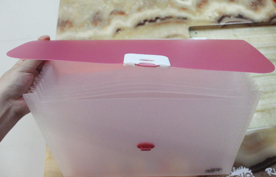 Translucent Plastic Document Folder / plastic letter size documents case
