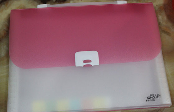 Translucent Plastic Document Folder / plastic letter size documents case