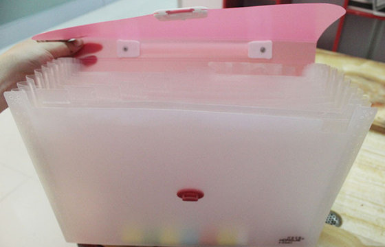 Translucent Plastic Document Folder / plastic letter size documents case