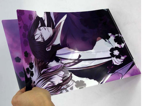 Plastic L shape Fancy pp A4 size file folder of uv printing