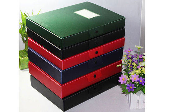 Eco friendly PP File Folder , polypropylene a4 plastic file box