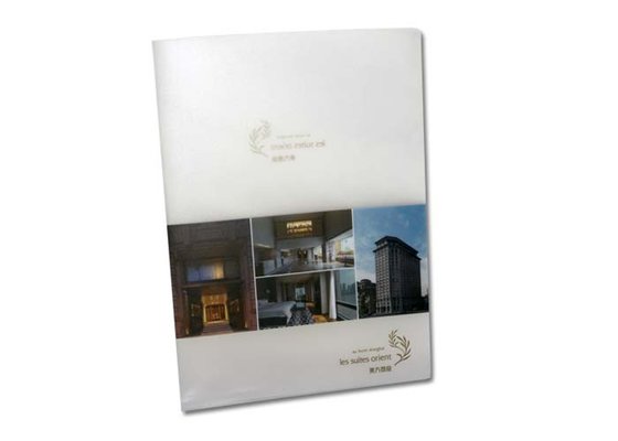 Recyclable 0.3mm Plastic Document Folder Custom Printed Presentation Folders