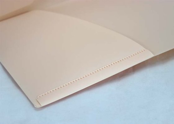 Decorative Colored A4 Hard Plastic Document Folder With Pockets