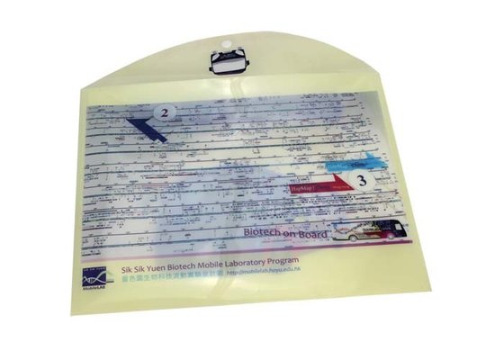 Cute Glossy Lamination Recyclable Plastic Document Folder for Office