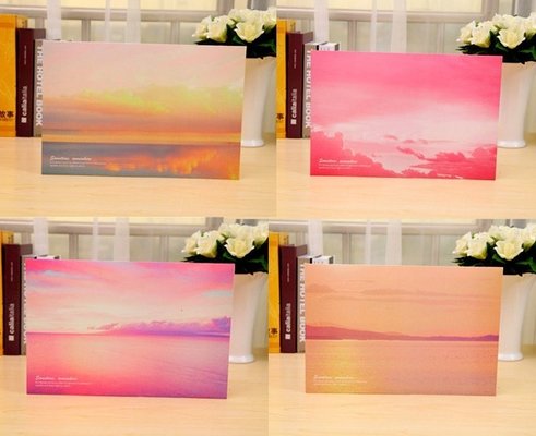 Decorative Plastic Document Folder / Clear Plastic Presentation Folders