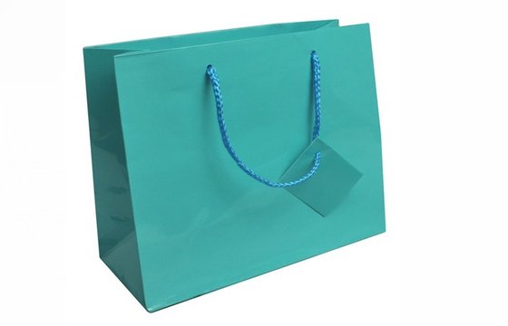 Foldable Green Paper Gift Bags For Shopping / Eco Friendly Paper Bags