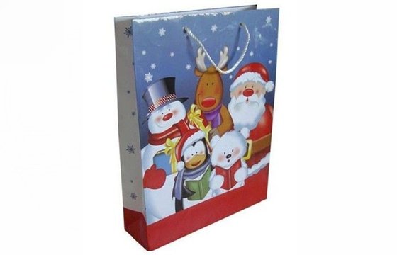 Eco - Friendly Colorful Christmas Paper Gift Bags With Flat Paper Handle Bags