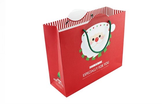 Nylon Rope Christmas Present Bag Flexo Printing Paper Foldable Shopping Bag