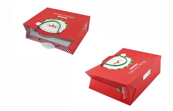 Nylon Rope Christmas Present Bag Flexo Printing Paper Foldable Shopping Bag