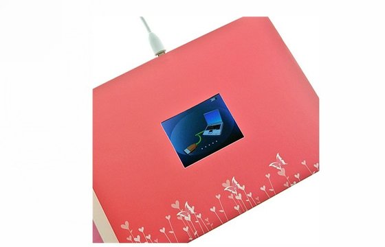 Rechargeable Birthday Red Personalized LCD Video Greeting Card For Kids