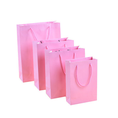 China Personal logo printing ladies underwear Pink color paper shopping bag supplier