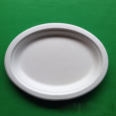 China Medium size biodegradable fish dish sugarcane BBQ fish plate for picnic supplier
