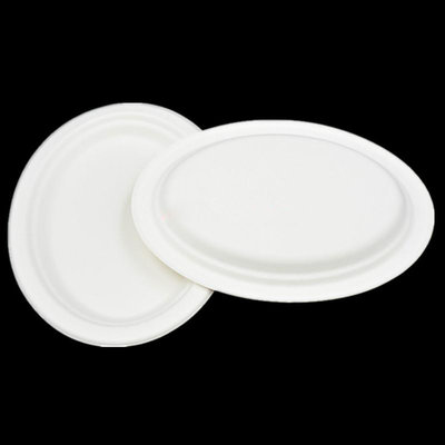 China Large size eco-friendly biodegradable disposable fish dish sugarcane barbecue fish plate supplier