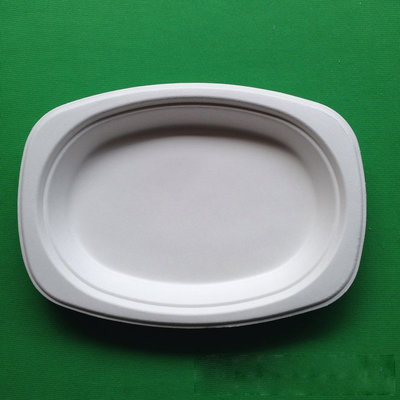 China biodegradable eco-friendly tableware sugarcane small oval shaped food tray supplier