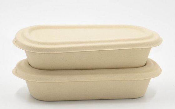 1000ml Biodegradable Straw pulp food container 2 compartments paper food tray with PP lid supplier