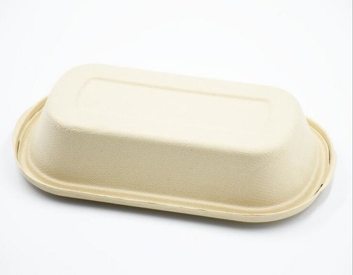 1000ml Biodegradable Straw pulp food container 2 compartments paper food tray with PP lid supplier